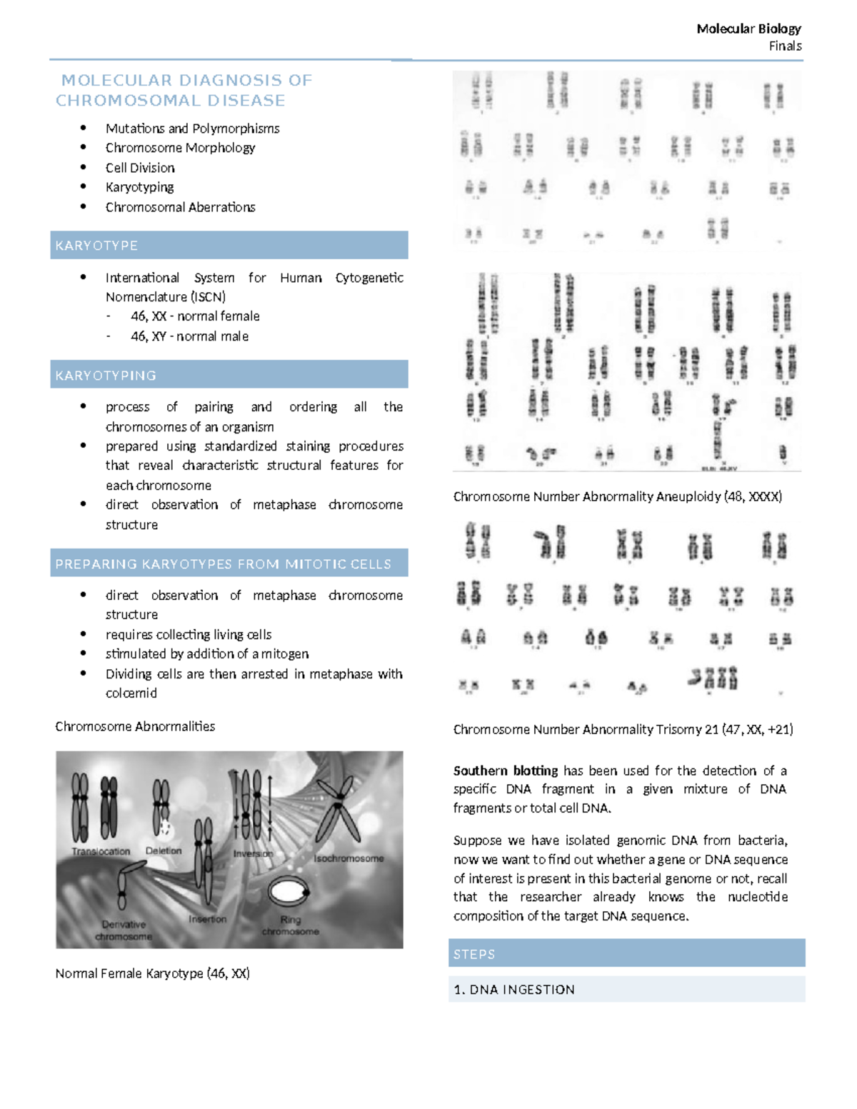 Blotting - Molecular Biology Finals MOLECULAR DIAGNOSIS OF CHROMOSOMAL ...