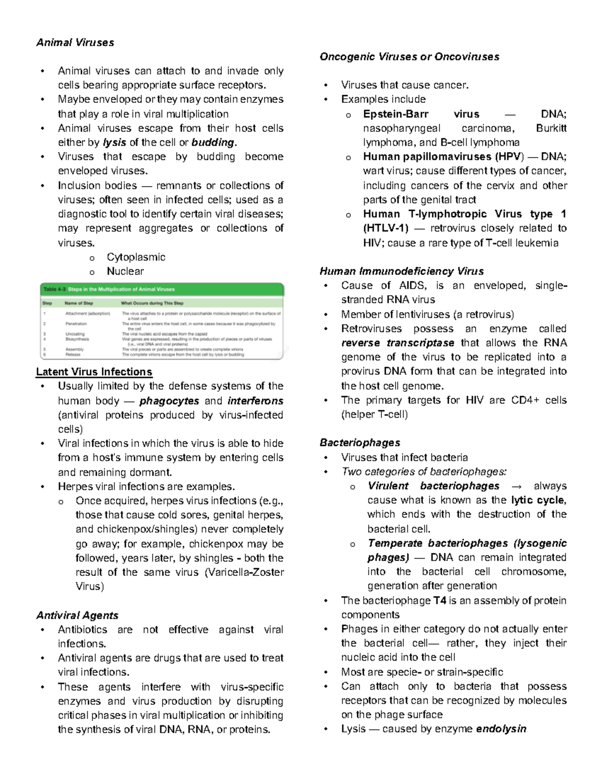 Animal Viruses - Animal Viruses Animal viruses can attach to and invade ...