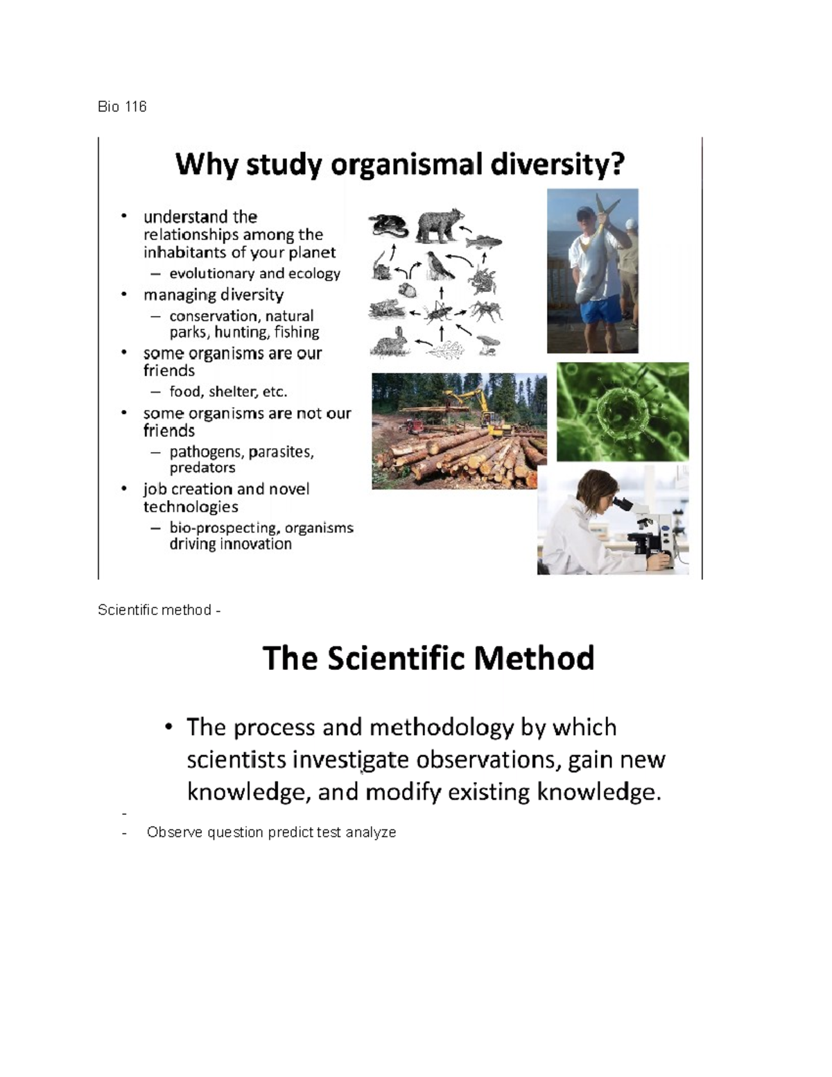 116 Exam 1 Notes - Bio 116 Scientific method - Observe question predict ...