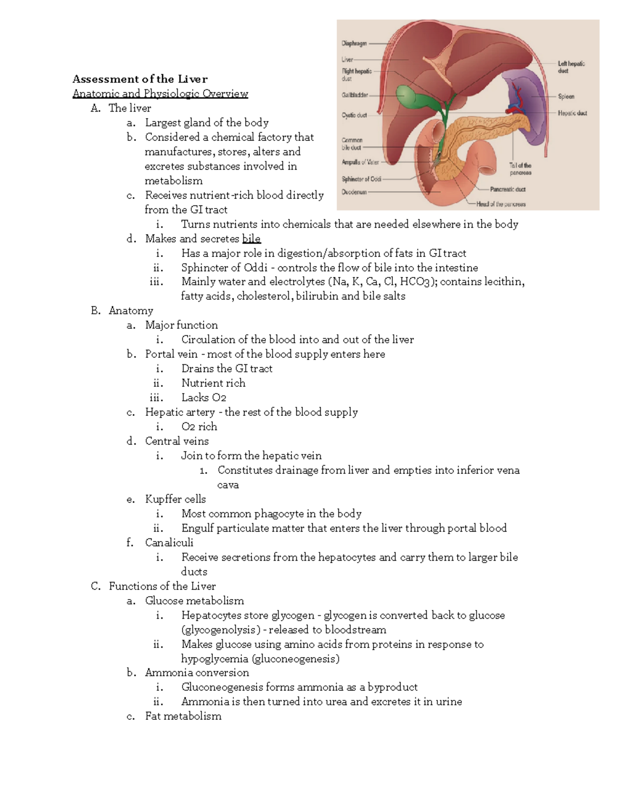 Ch. 43 - Hepatic Disorders - Assessment of the Liver Anatomic and ...