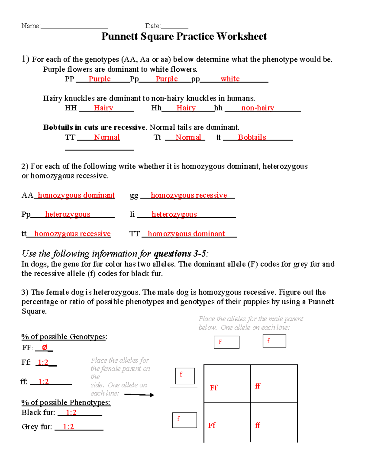 Punnet Square Exercises - Name: Date: Punnett Square Practice Worksheet ...