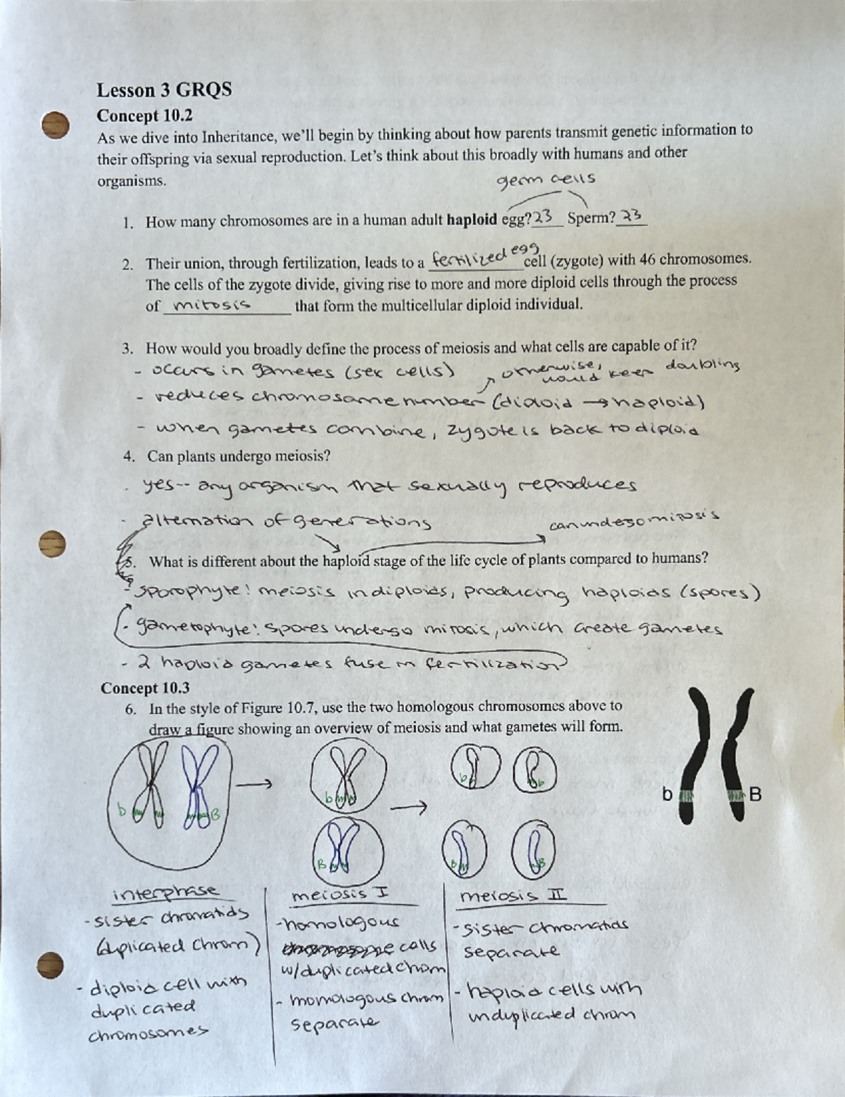 GRQ 1 for biology - Lesson 3 GRQS Concept 10 As we dive into ...