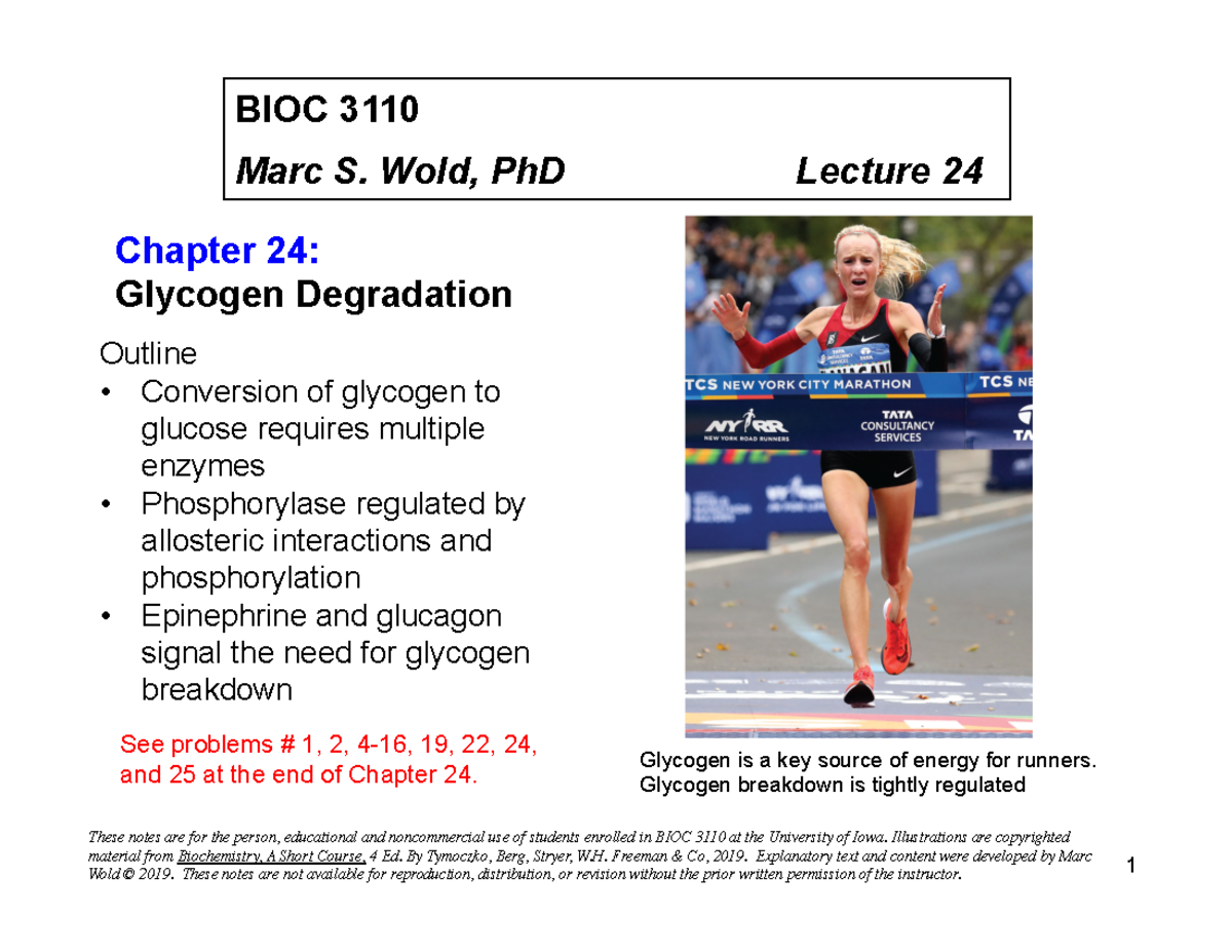 3110 Chap24(Wold)-Glycogen Degradation Rev - BIOC 3110 Marc S. Wold ...