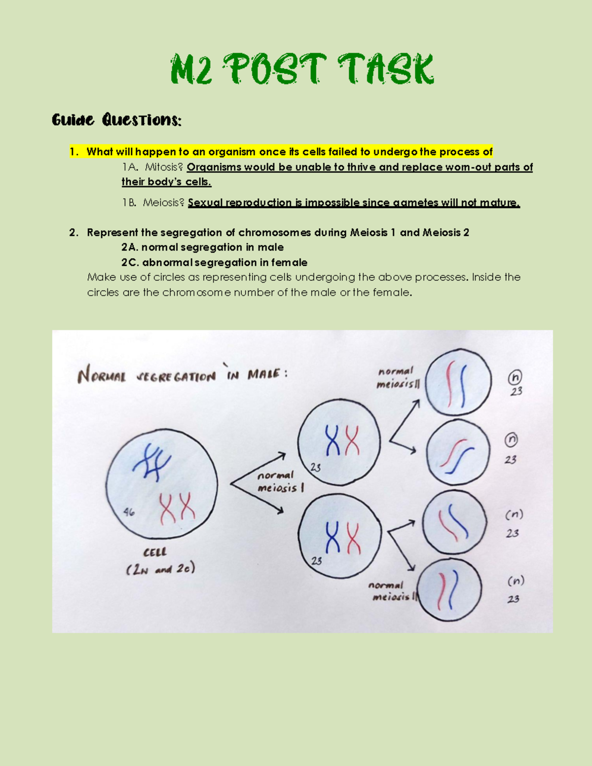 M2 POST TASK ( Genetics lab) - Guide Questions: 1. What will happen to ...