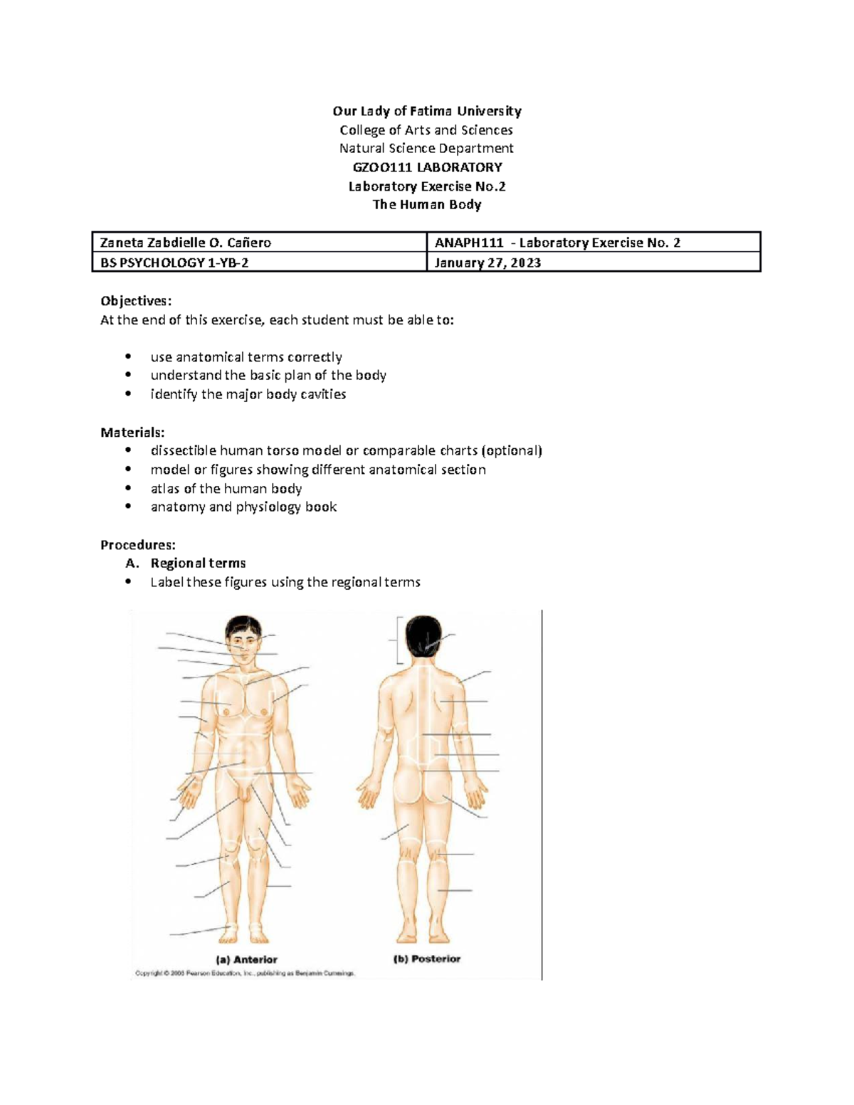 #02 Human Body - haha - Our Lady of Fatima University College of Arts ...