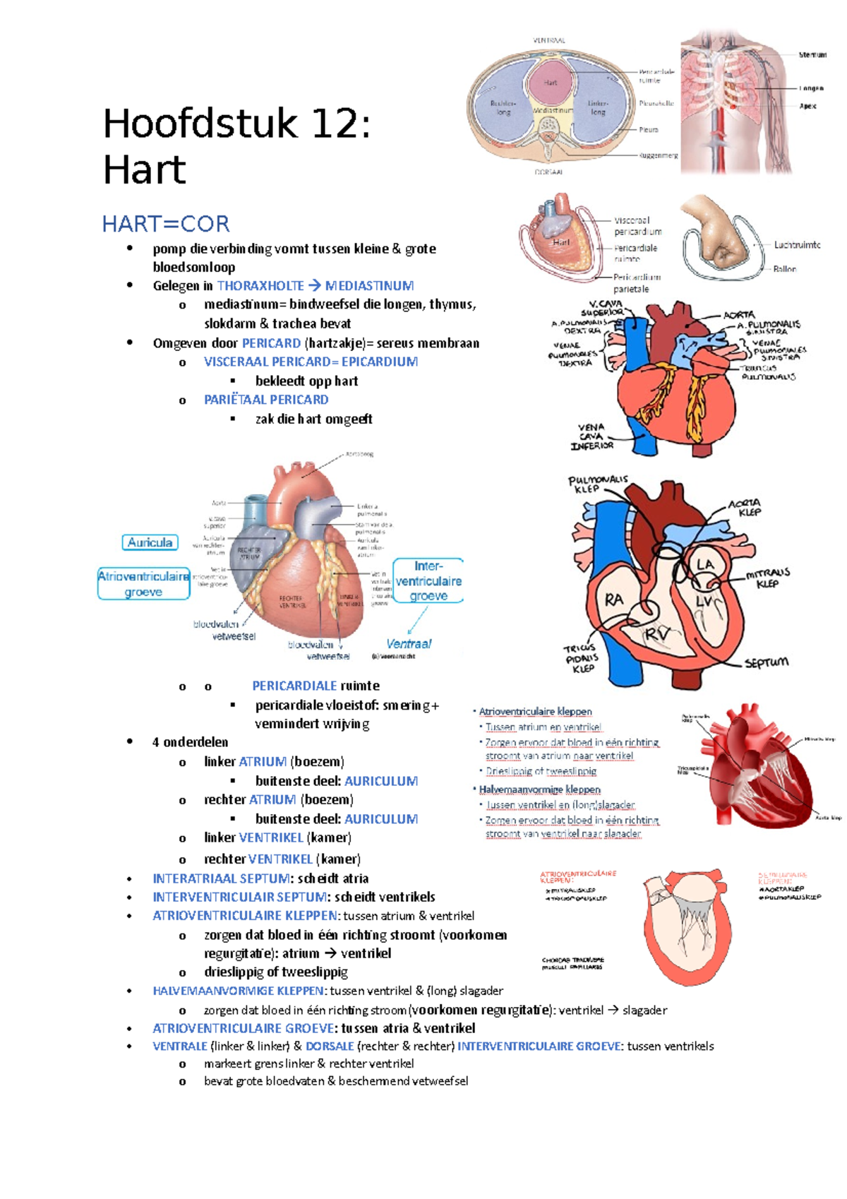 Hoofdstuk 12: Hart - Hoofdstuk 12: Hart HART=COR pomp die verbinding ...