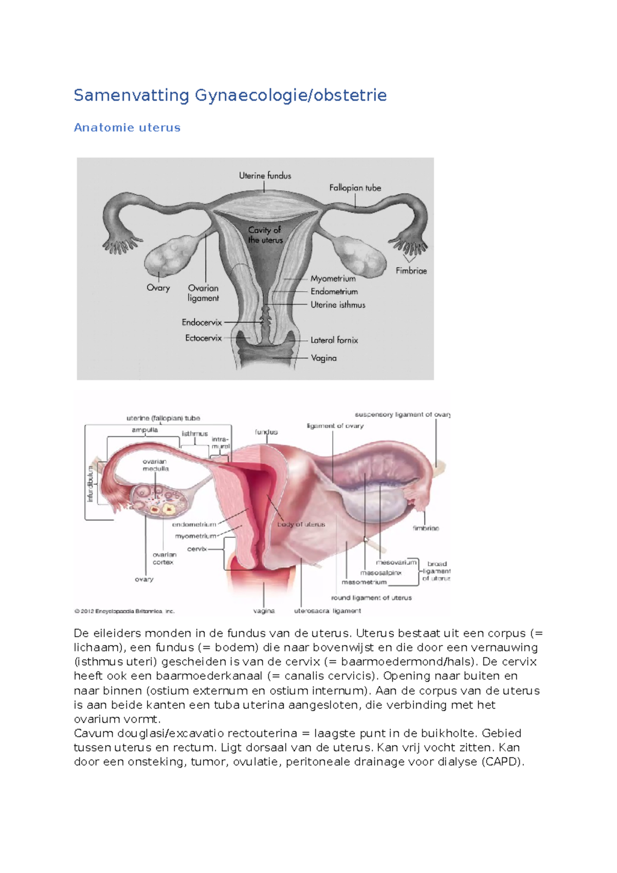 Doc1 Gynaecologie obstetrie - Samenvatting Gynaecologie/obstetrie ...