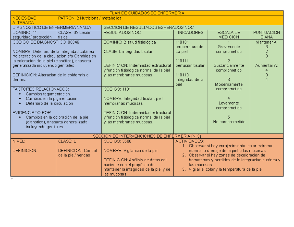 Place Deterioro DE LA Integridad Cutanea - PLAN DE CUIDADOS DE ...
