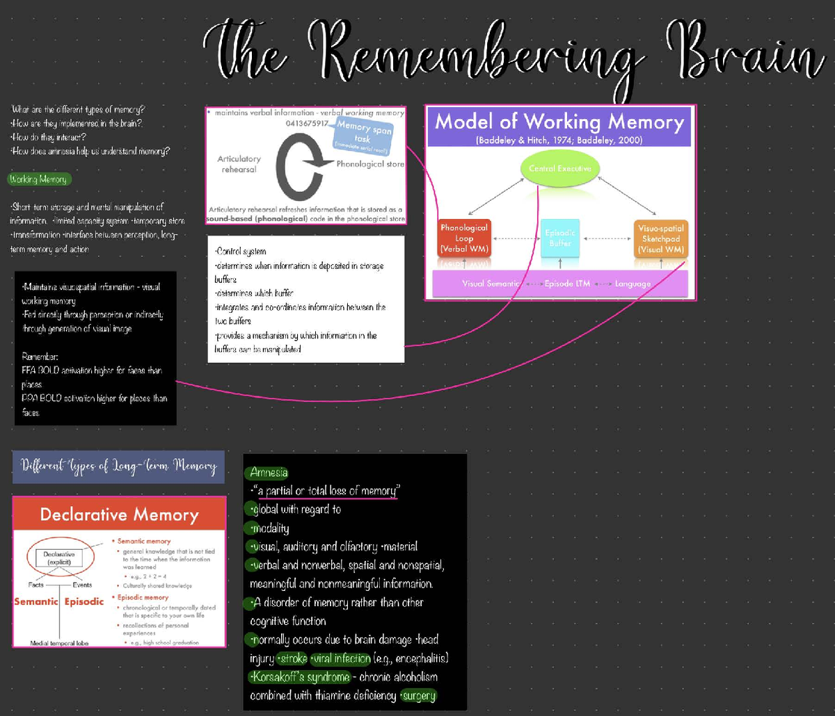 The Remembering Brain - ANS106 - Studocu