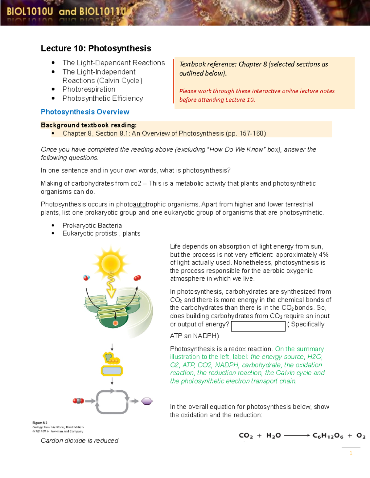 biology lec notes - Lecture 10: Photosynthesis The Light-Dependent ...