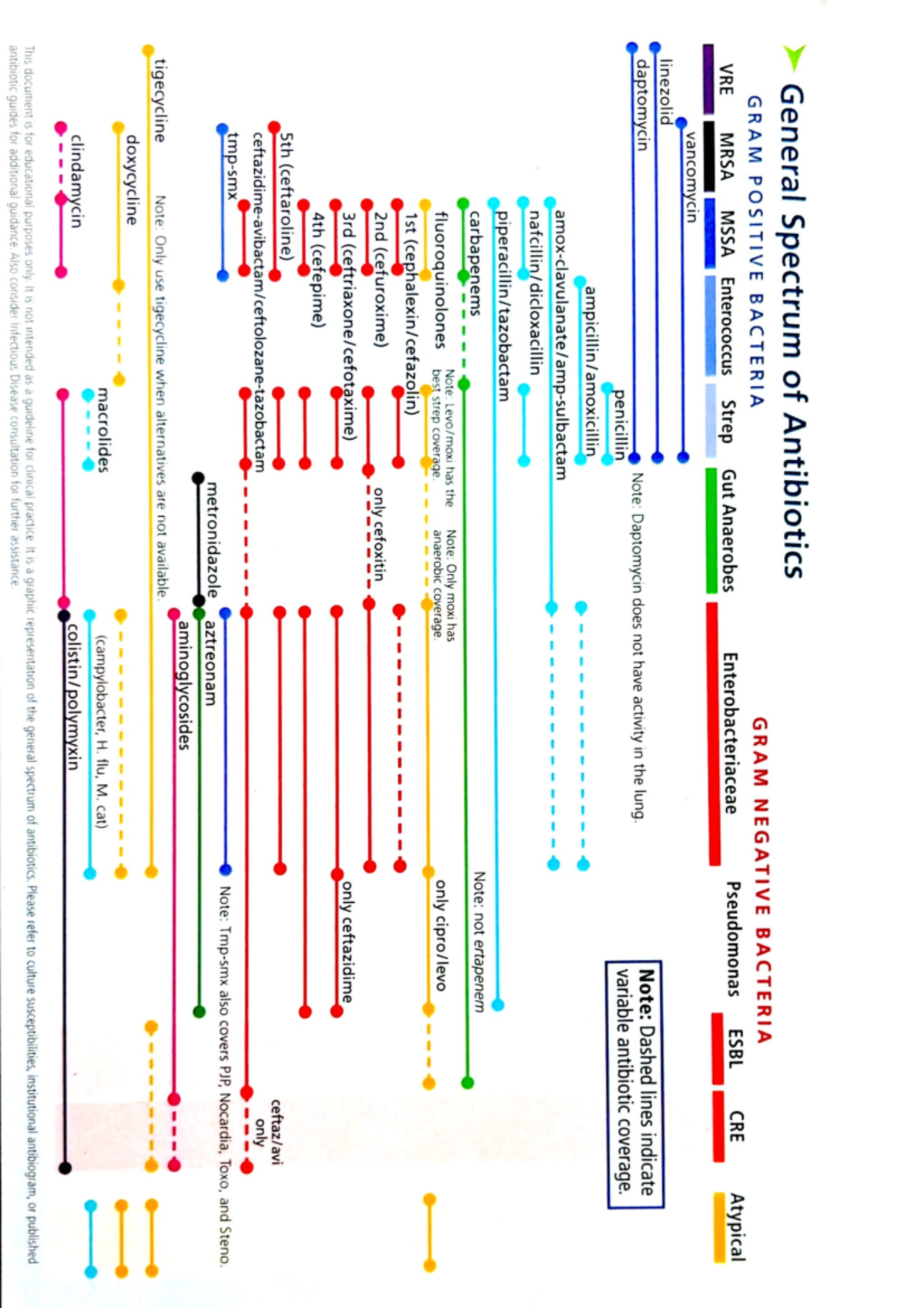 Antibiotic Spectrum - General Medicine - Studocu