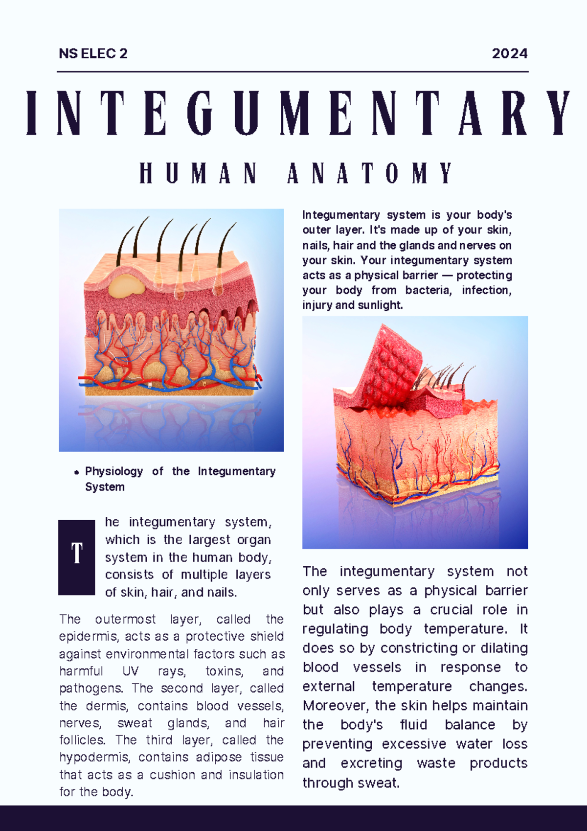 Integumentary System - T The outermost layer, called the epidermis ...