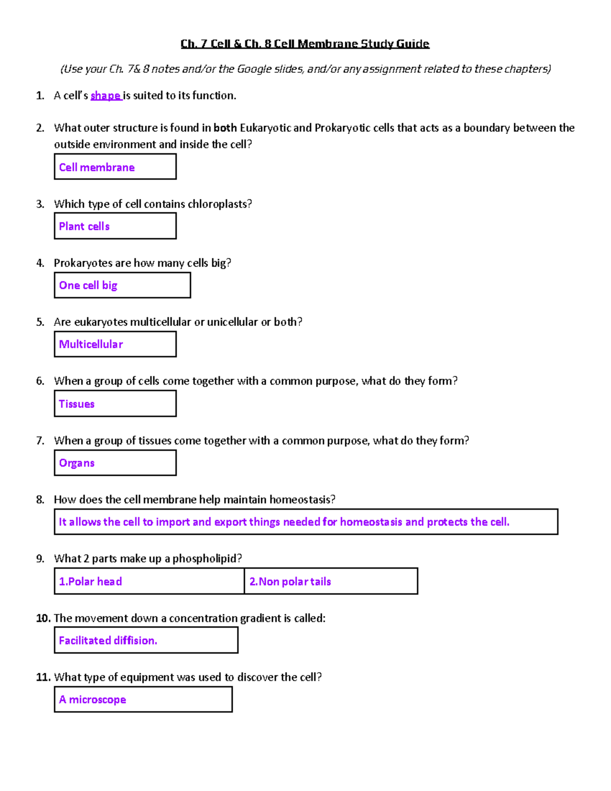Copy of Study Guide Ch 7& 8 cell & membrane Turn - Ch. 7 Cell & Ch. 8 ...