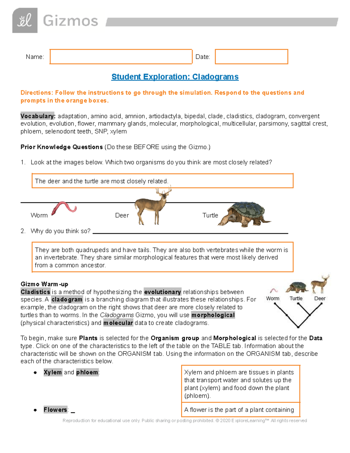 Student Exploration Cladograms Name Date Student Exploration 