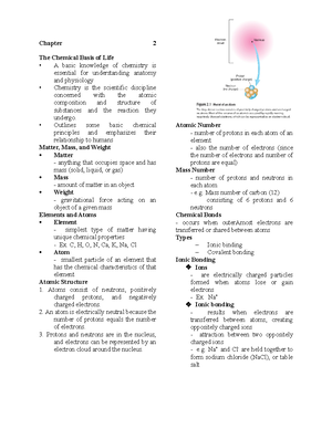 Anaphy Chapter 7 Muscular System - MUSCULAR SYSTEM Functions Muscles are responsible for: - Studocu