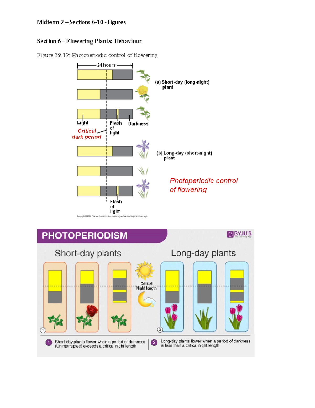 Biology 1002 - Midterm II Figures (Sections 6 - 10) - BIOL 1002 ...
