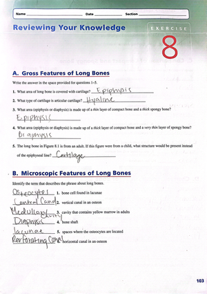 Lab excersise 44-Heart Anatomy - Dr. L Martinez BIO 246 Anatomy and ...