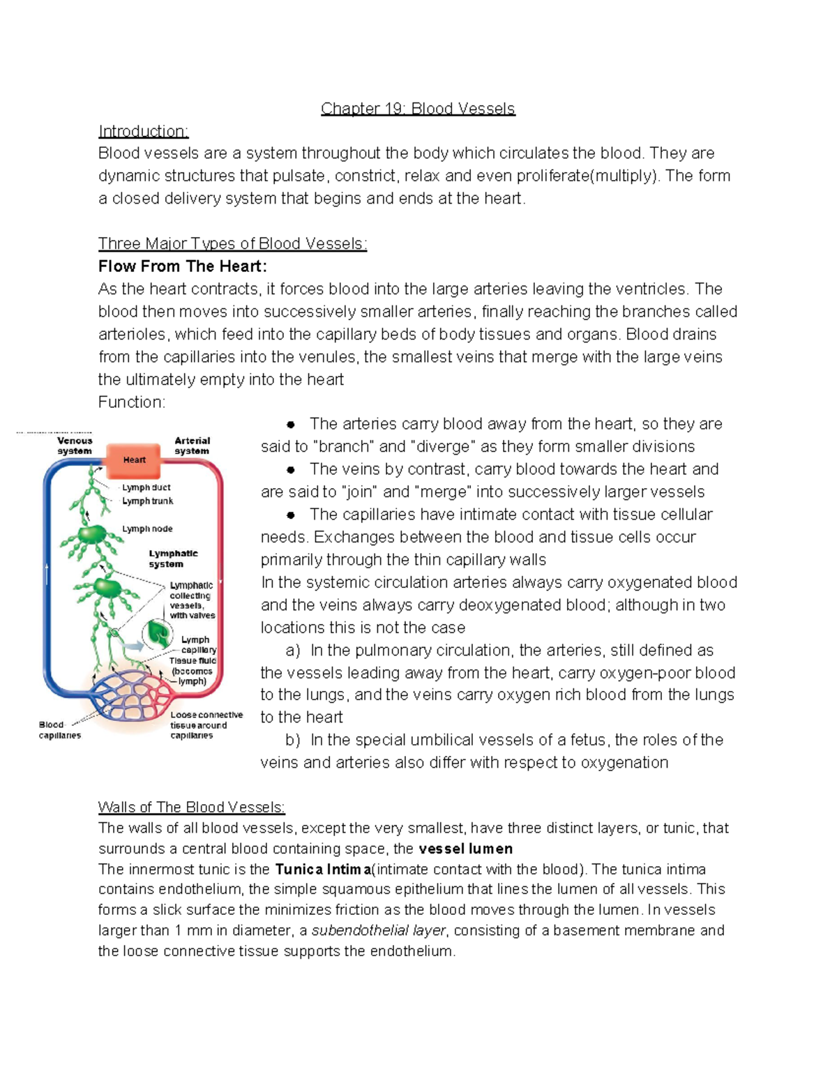 Blood Vessels Notes - Chapter 19: Blood Vessels Introduction: Blood ...