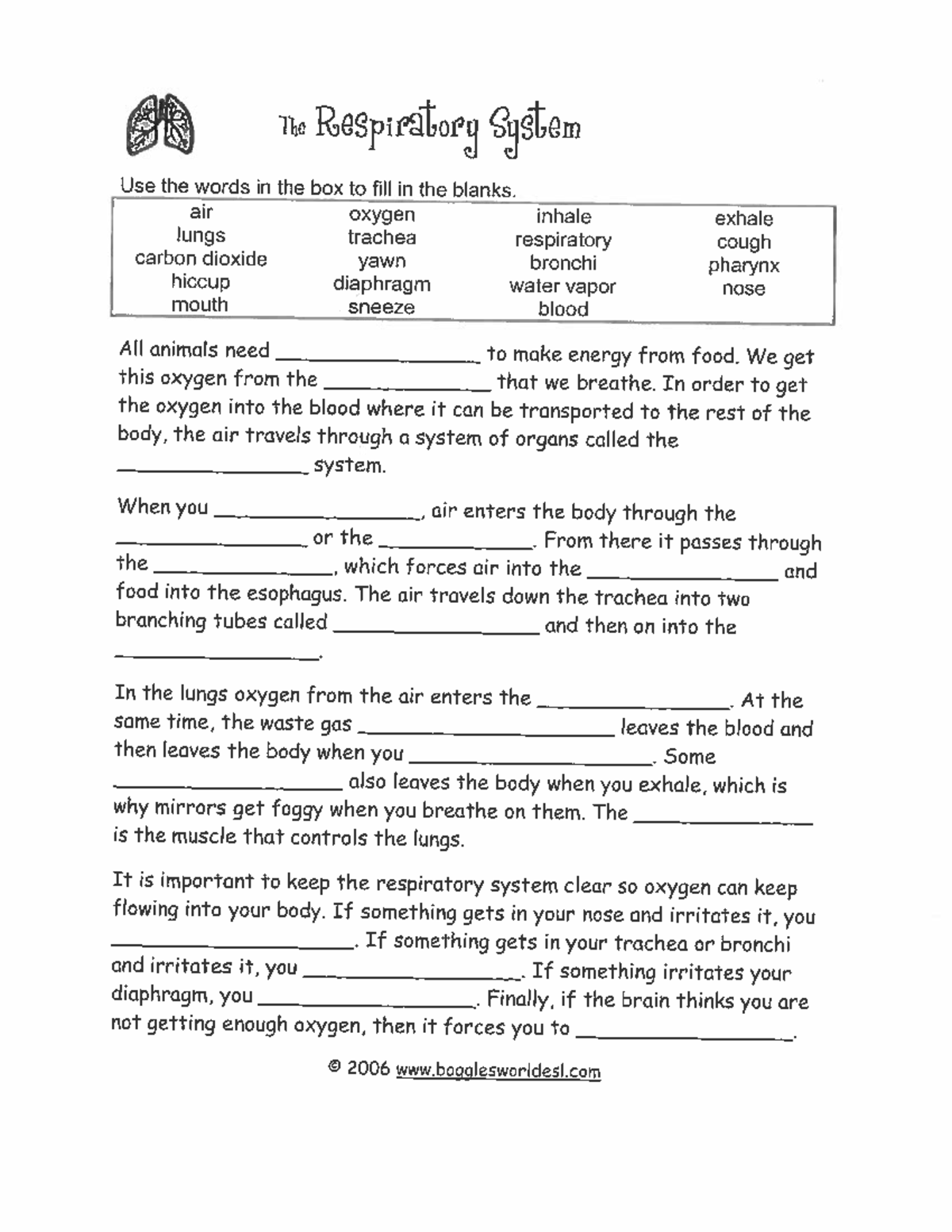 Thoracic and Pulmonary Worksheet - The Respiratory System Use the words ...