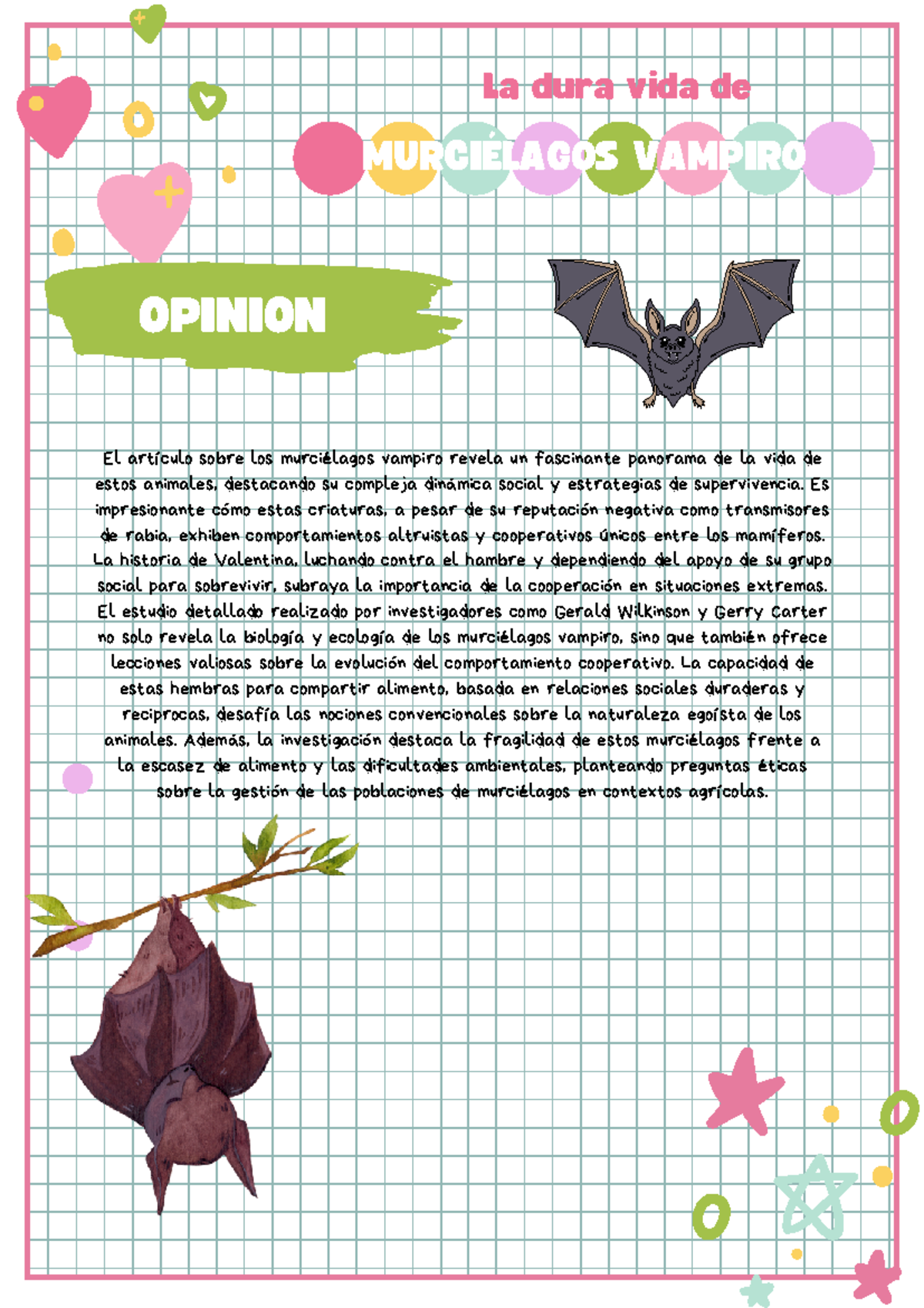 La dura vida de los murciélagos - El artículo sobre los murciélagos ...