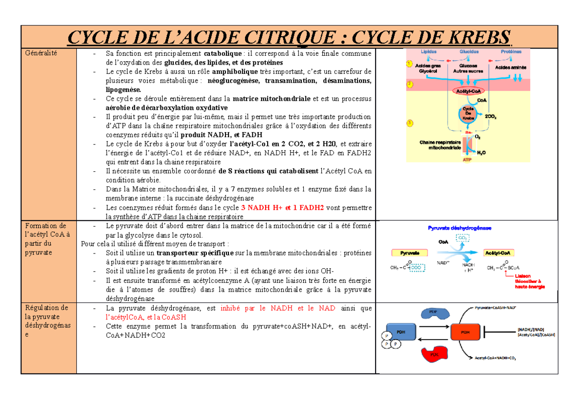 Cycle DE L'urée - CYCLE DE L’ACIDE CITRIQUE : CYCLE DE KREBS Généralité ...
