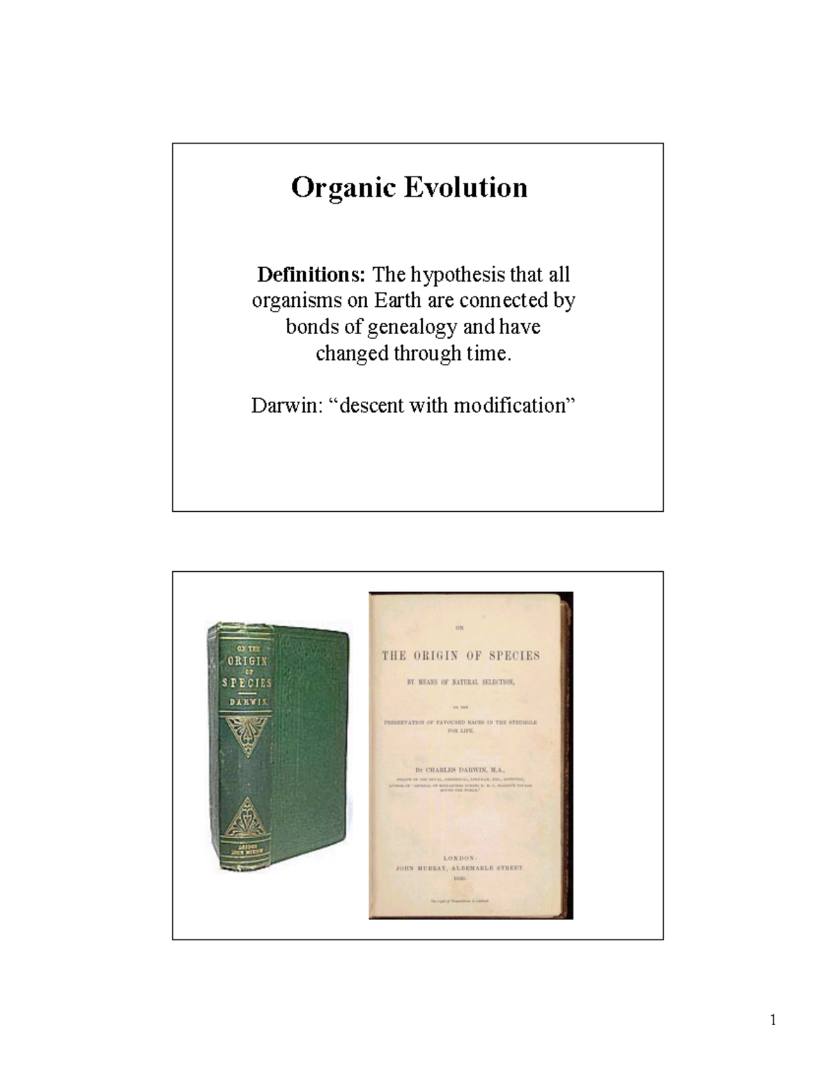 Evolution Evidence-Mechanisms - Organic Evolution Definitions: The ...