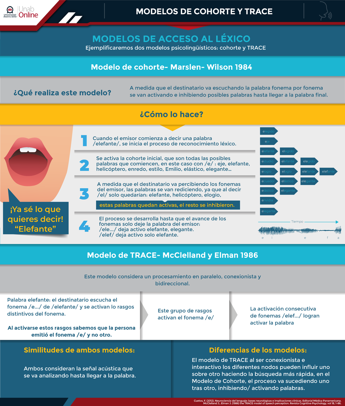 Modelo DE Cohorte Y Trace-2 - Modelo de TRACE- McClelland y Elman 1986 ...