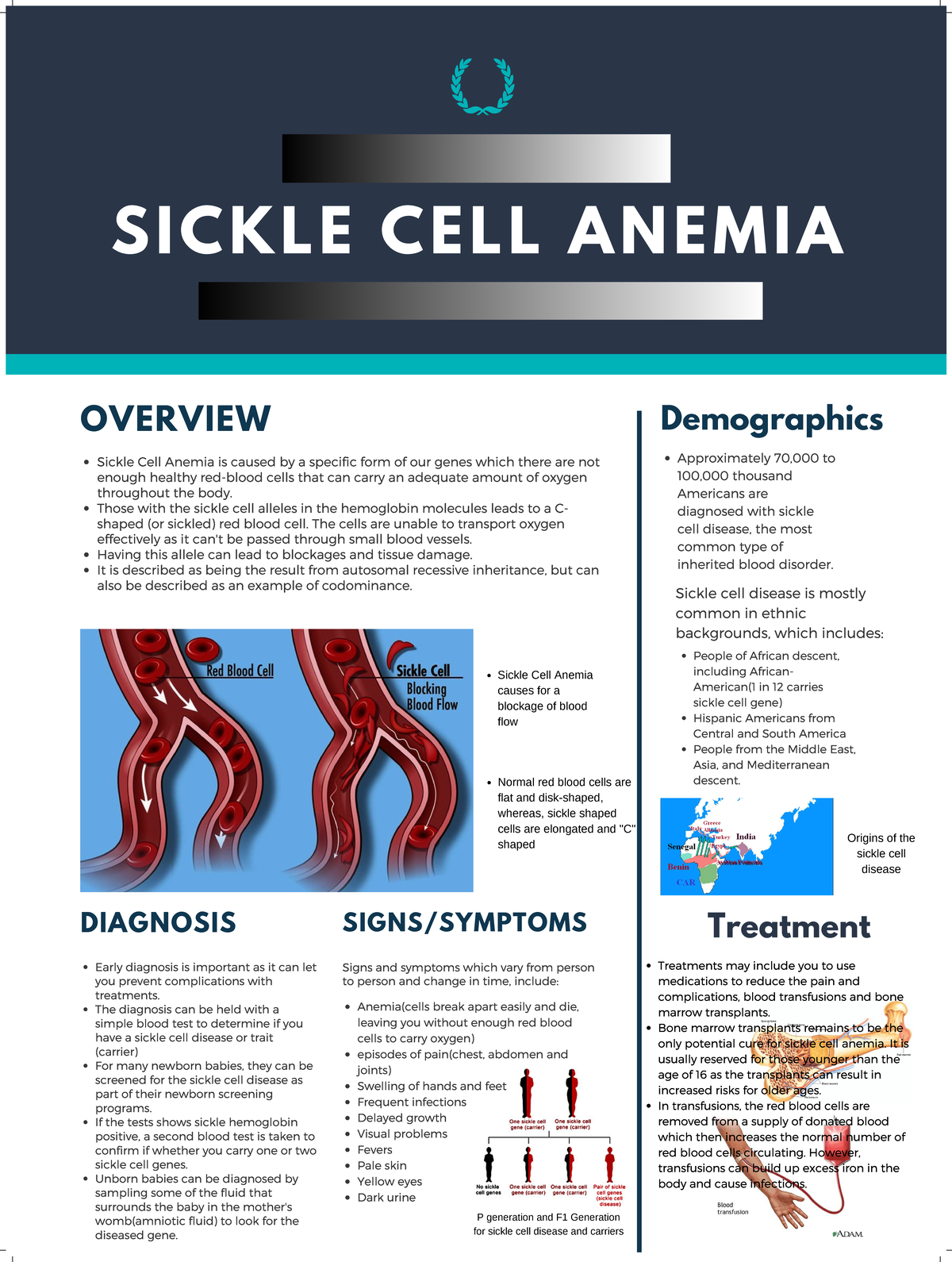 Genetics Poster Assignment - R i v e r s i d e S e c o n d a r y S c h ...
