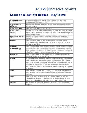 Digestive system gizmo answer key - ENRPII - Studocu