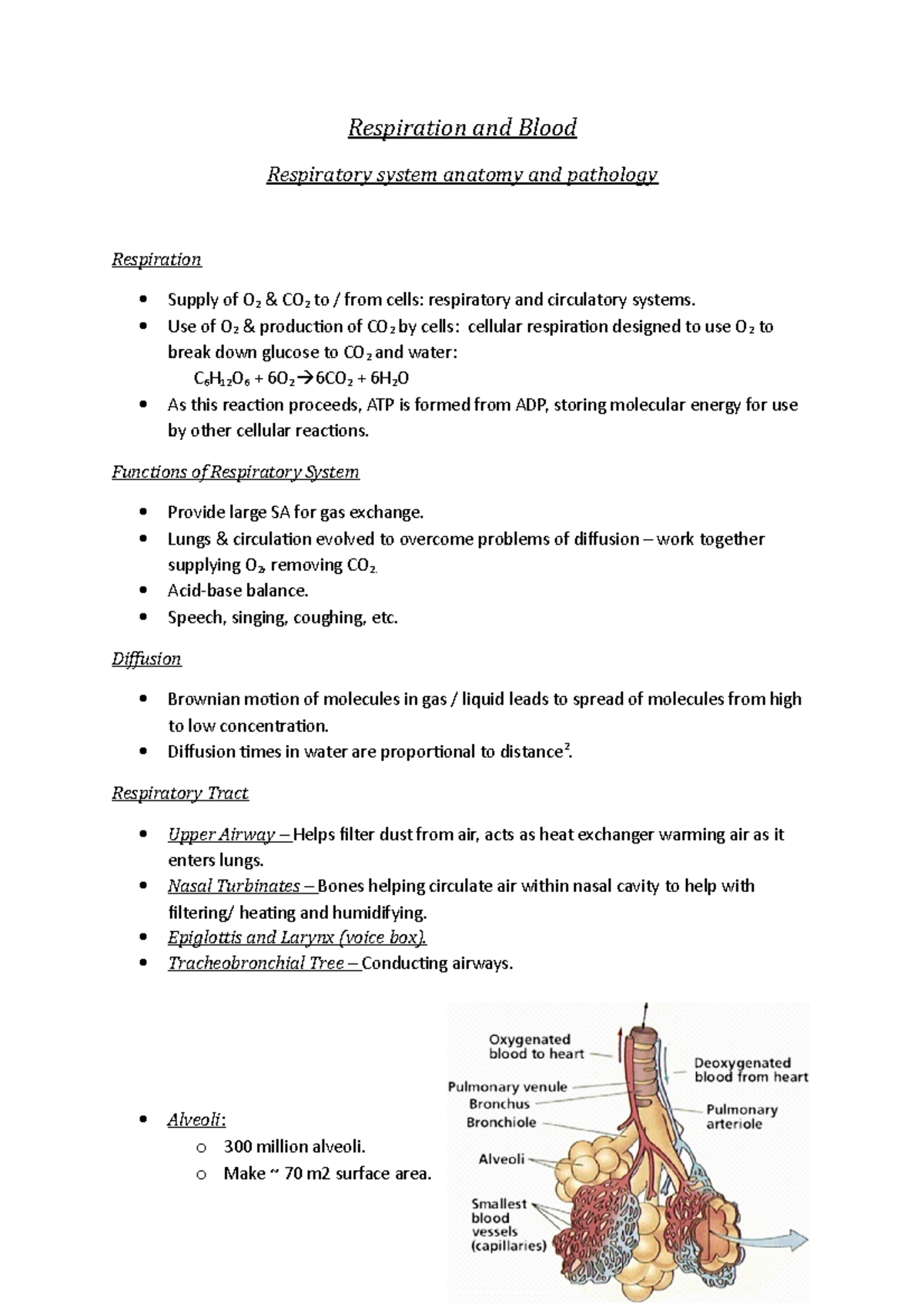 Respiration and Blood Notes - Respiration and Blood Respiratory system ...