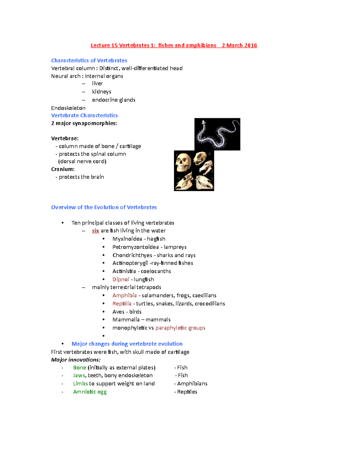 Lecture 15 Vertebrates 1 - Lecture 15 Vertebrates 1: fishes and ...