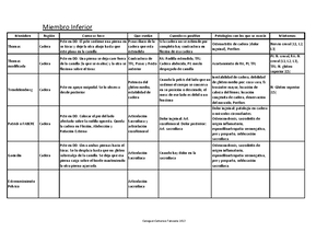 Escala ASIA - ASIA - Melanie Salinas ESCALA DE DISCAPACIDAD POR LESIÓN ...