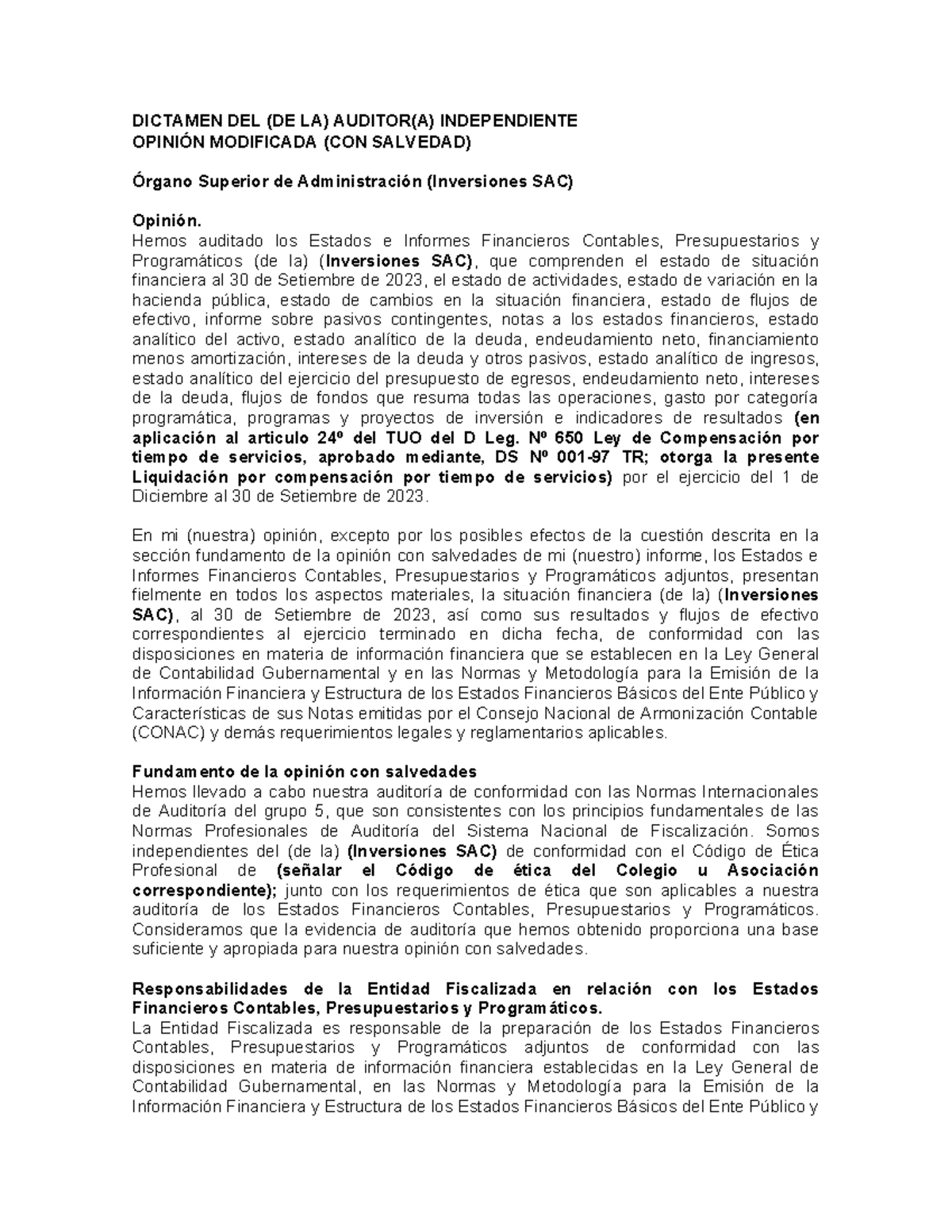 Informe Pericial - DICTAMEN DEL (DE LA) AUDITOR(A) INDEPENDIENTE ...
