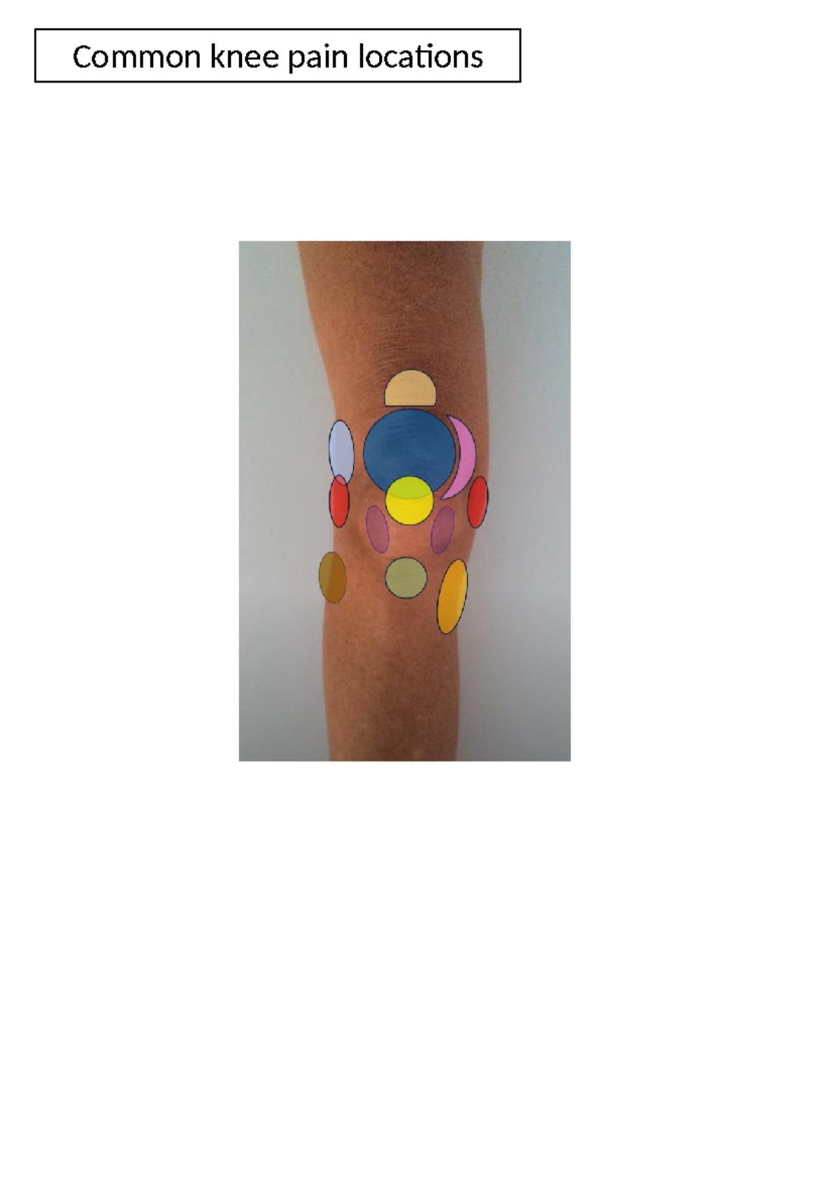 Common knee pain locations - PATH3207 - Studocu