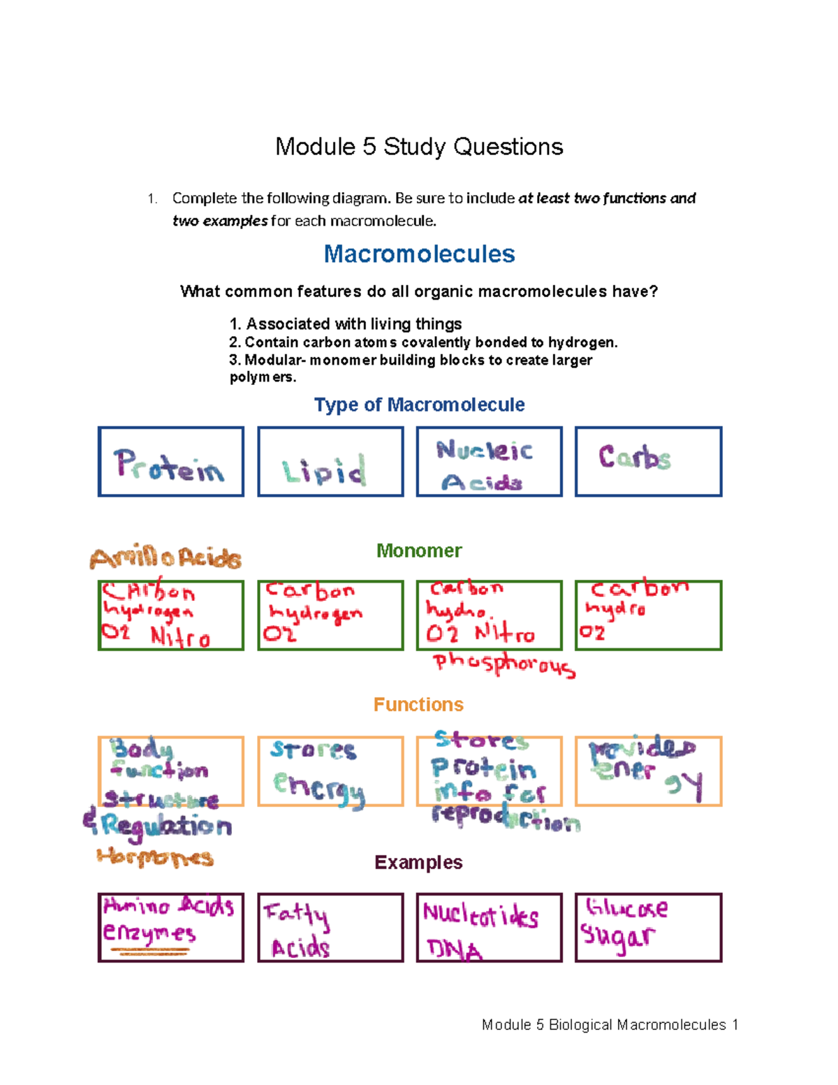C190.v3 module 5 study questions - Module 5 Study Questions 1. Complete ...