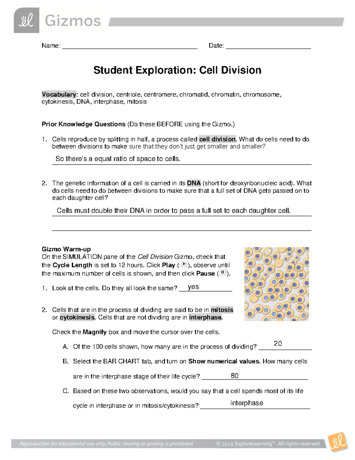 Cell division Lab - 11.4 Cell Divison Gizmo Lab - Name