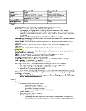 Final Study Guide - Chapter 5: Genetics Outline A. How many genes per ...