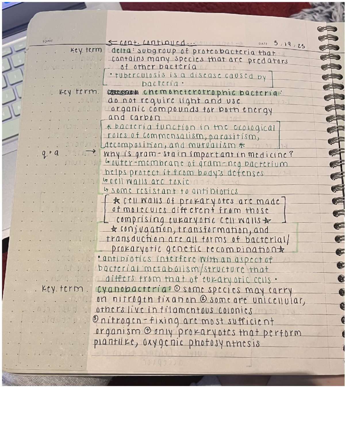 Chapter 27 Notes - Bacteria and Archea - BIOL 1243 - Studocu