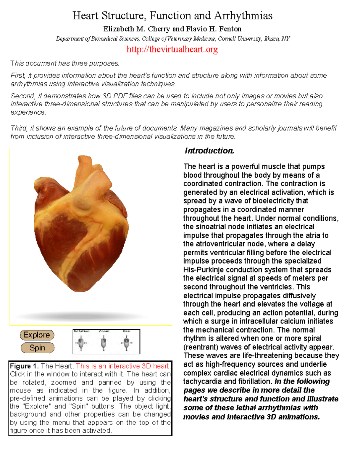 Heart 3d - Heart Structure, Function and Arrhythmias Elizabeth M ...