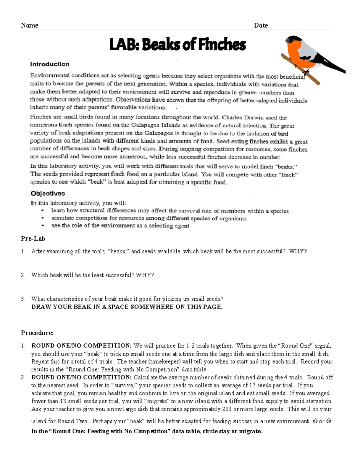Lab -Beaks of Finches - Name