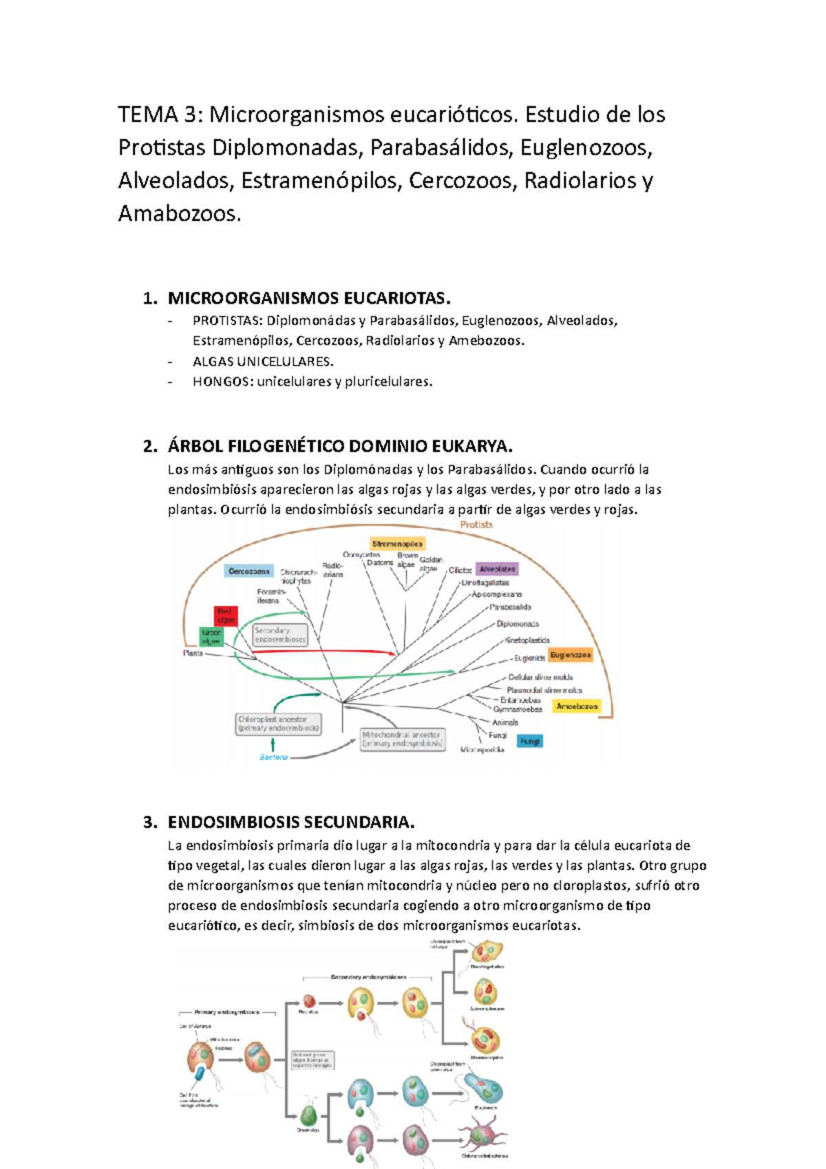 TEMA-3 - Apuntes 3 - TEMA 3: Microorganismos eucarióticos. Estudio de ...
