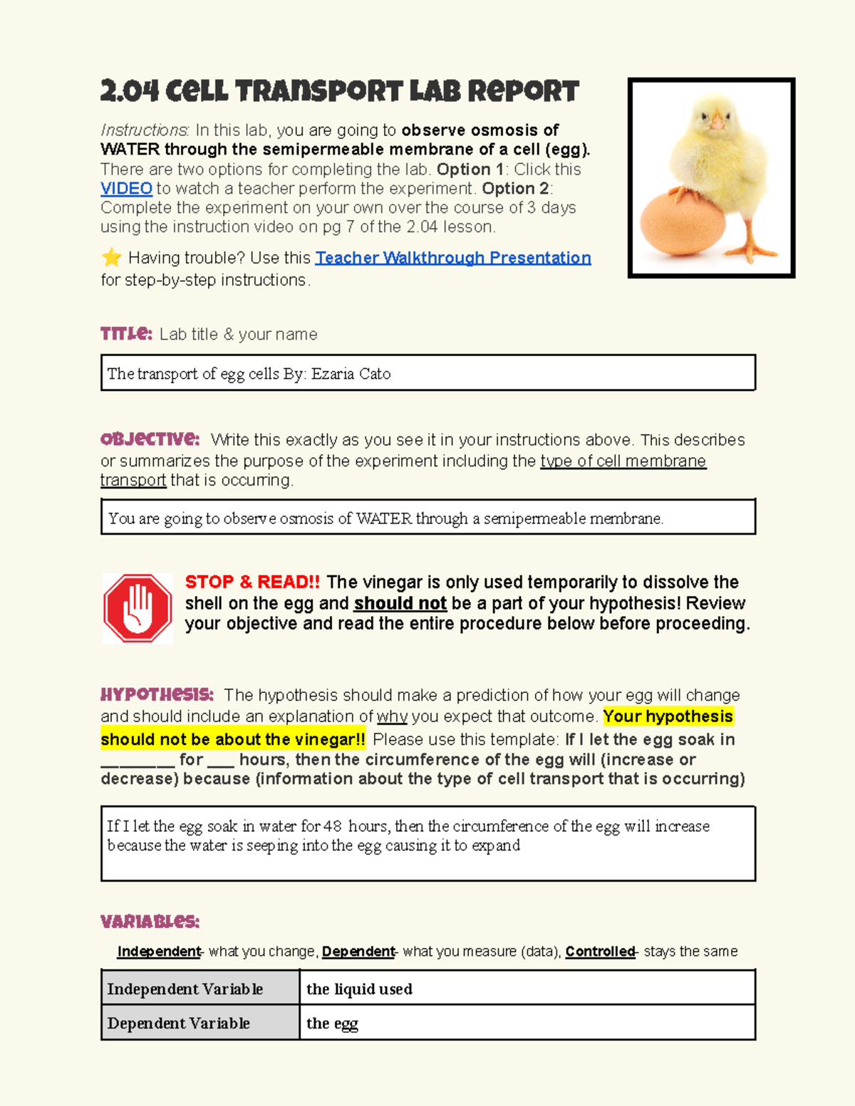 Copy of 2 04 Lab Completed - 2 Cell Transport Lab Report Instructions ...