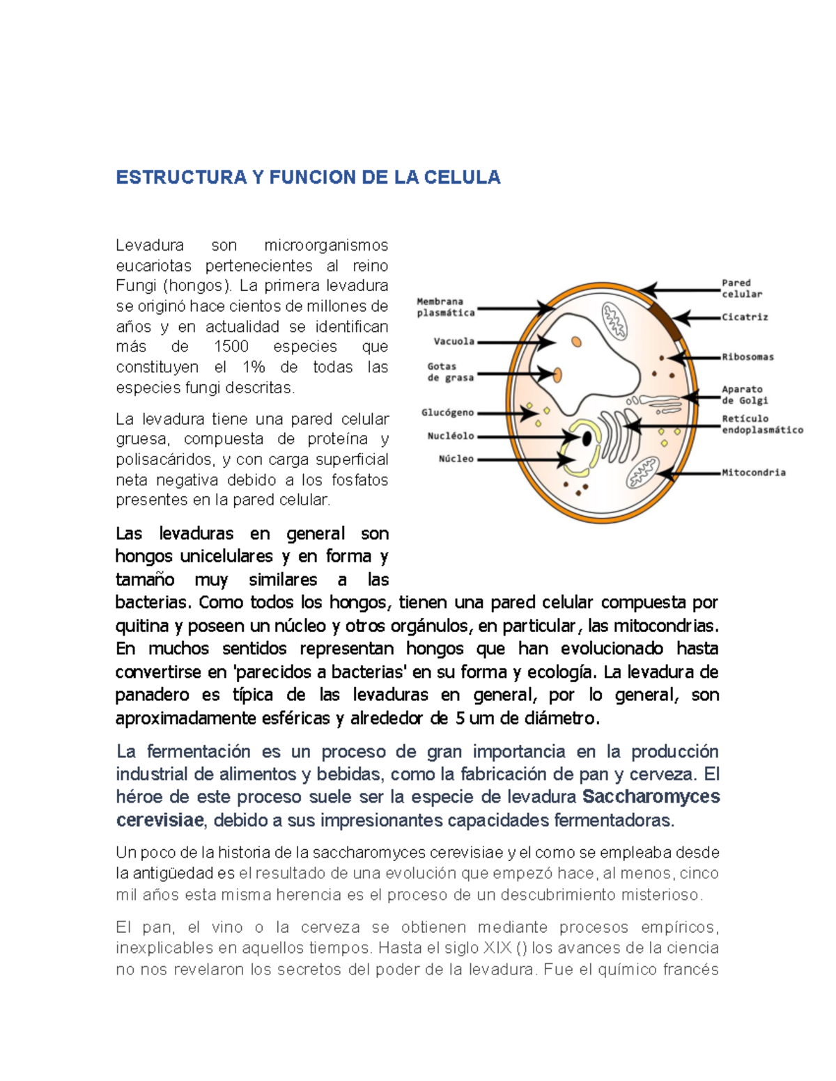 Estructura Y Funcion DE LA Celula - ESTRUCTURA Y FUNCION DE LA CELULA ...