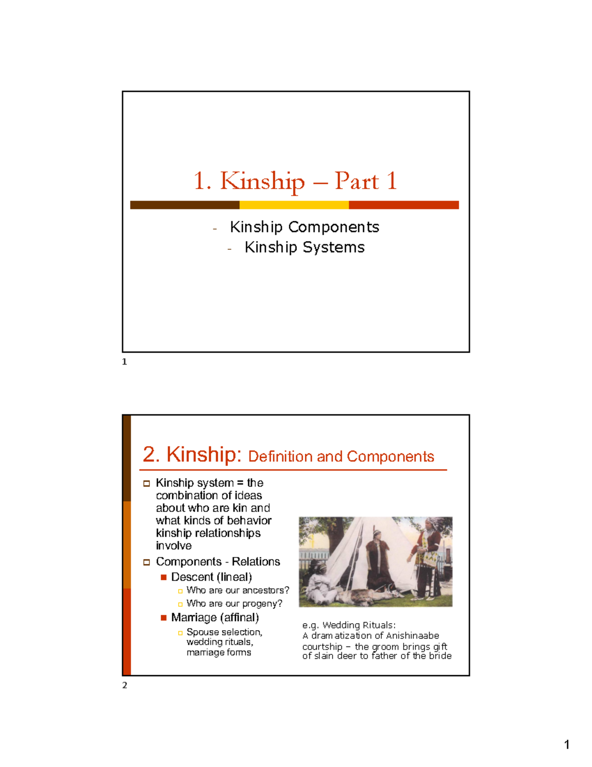 L Kinship F22 - PowerPoint - 1. Kinship 3Part 1 - Kinship Components ...
