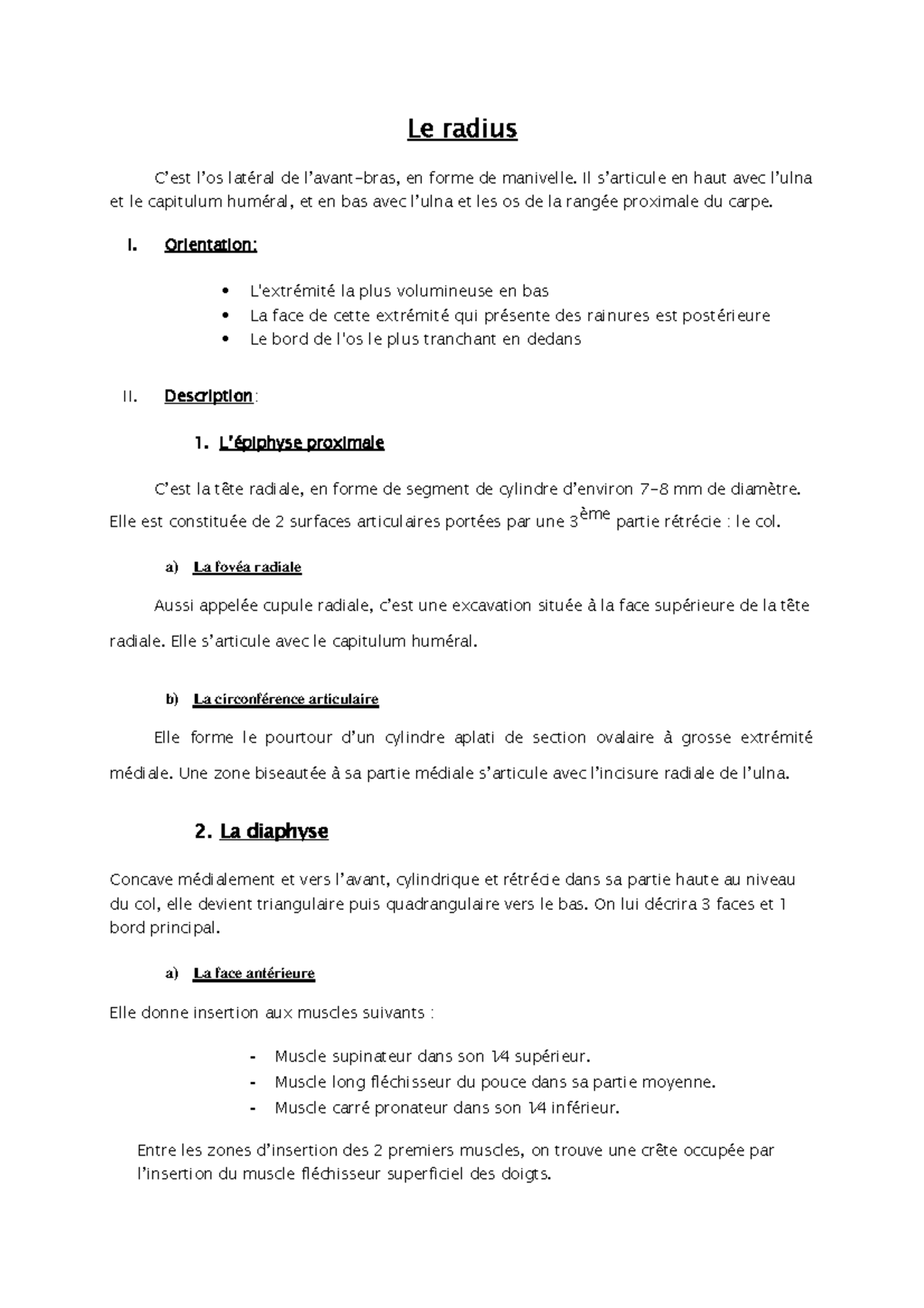 Anatomie de la radius part 2 - Le radius C’est l’os latéral de l’avant ...