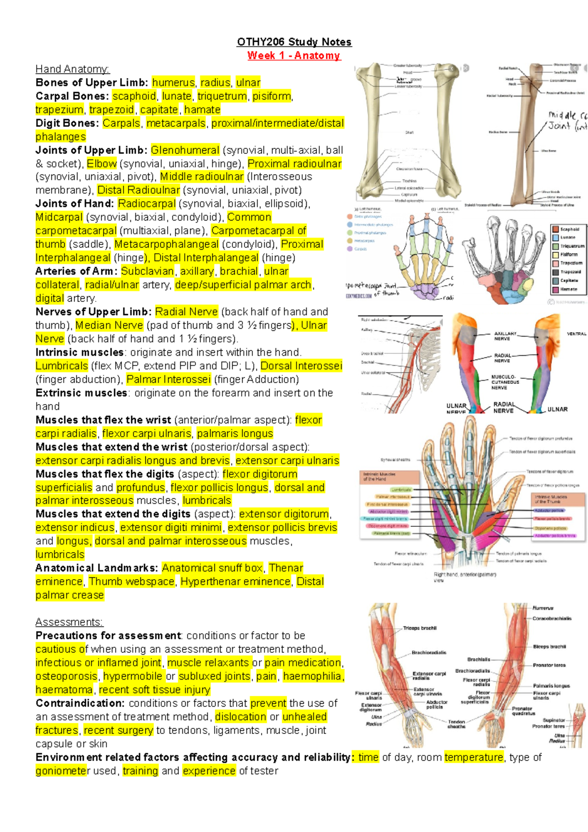 OTHY206 Study Notes - OTHY206 Study Notes Week 1 - Anatomy Hand Anatomy ...
