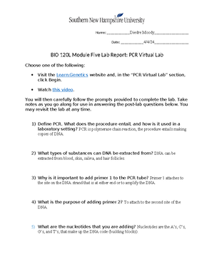 IT 242 Module One Exercise Template - Start a new project. Name it ...