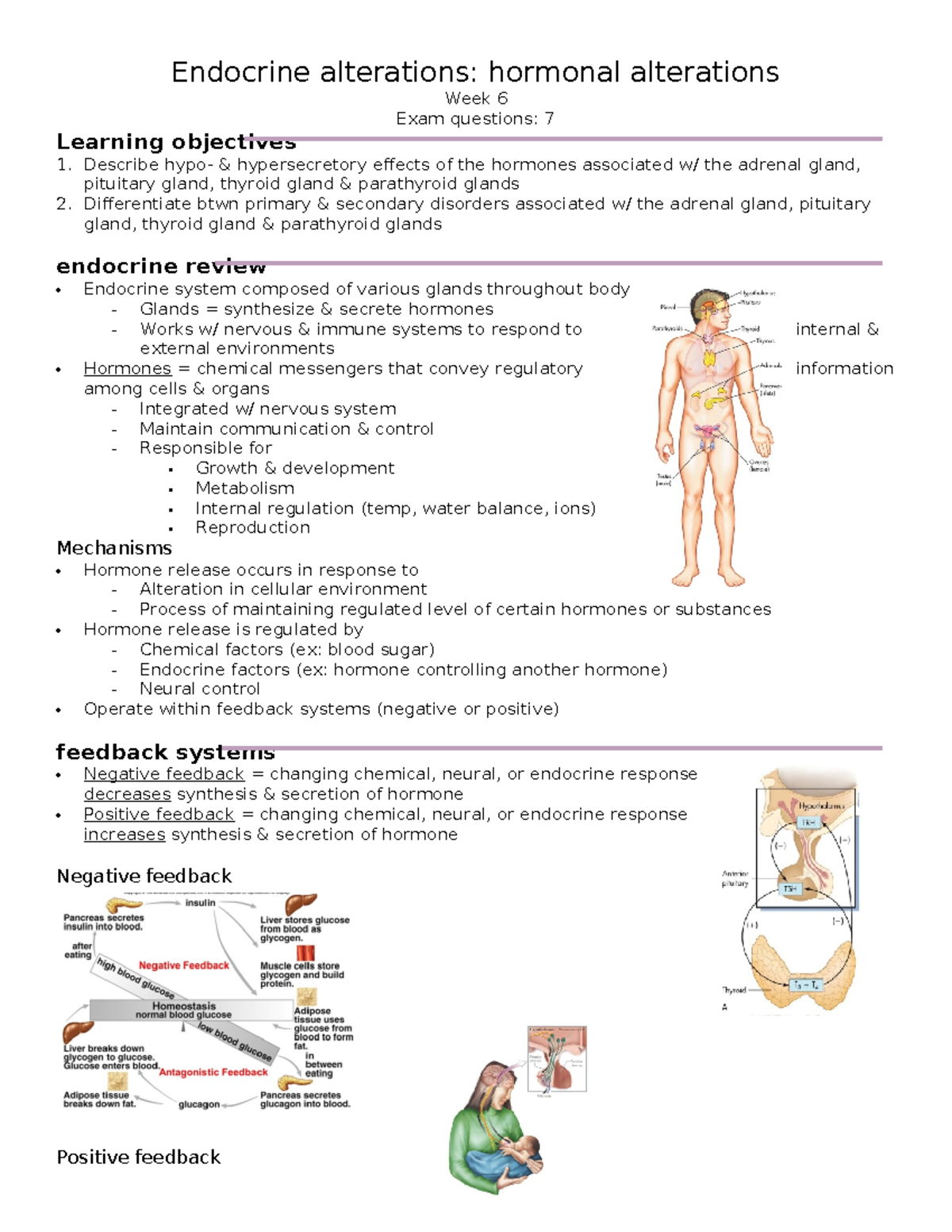 Hormone alterations - Endocrine alterations: hormonal alterations Week ...