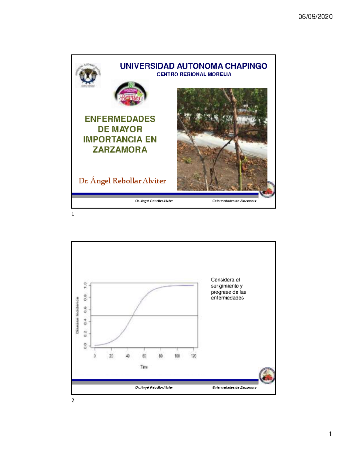 Enferm Zarza 20 - UNIVERSIDAD AUTONOMA CHAPINGO CENTRO REGIONAL MORELIA ...