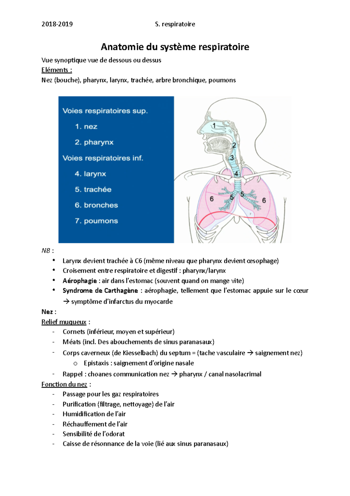 A) anat respi - Warning: TT: undefined function: 32 Anatomie du système respiratoire Vue ...